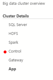 A11y_AzureDataStudio_BigDataClusterOverviewPage_ScreenReader :Missing tab structure for the ...