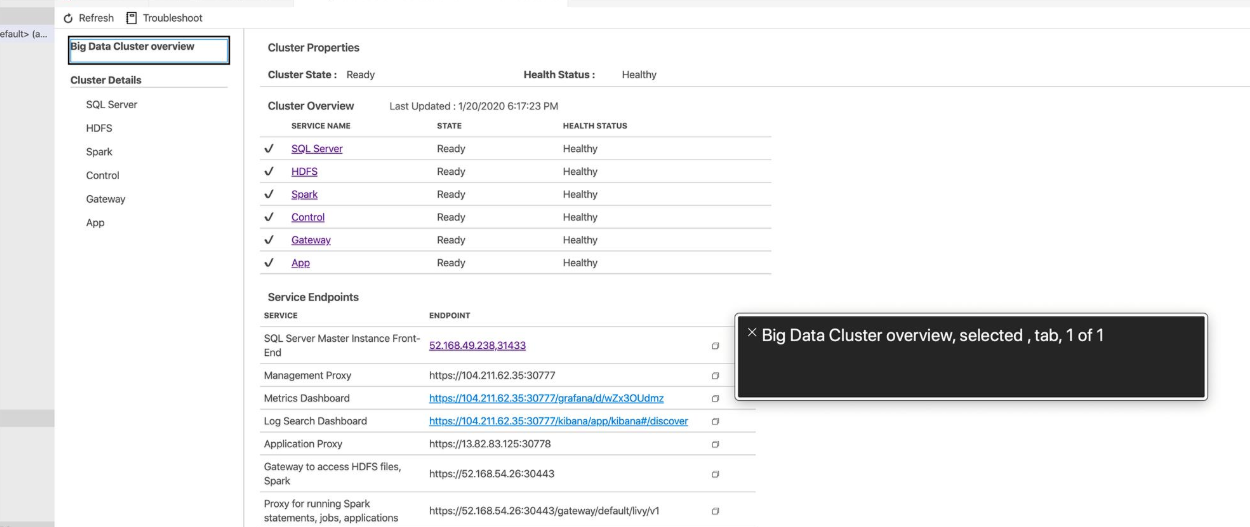 A11y_AzureDataStudio_BigDataClusterOverviewPage_ScreenReader : VoiceOver is not announcing ...