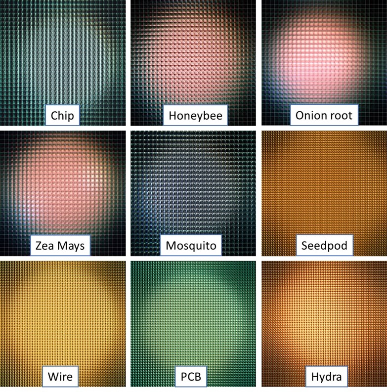 GitHub - shahinur-alam/IIM-GAN