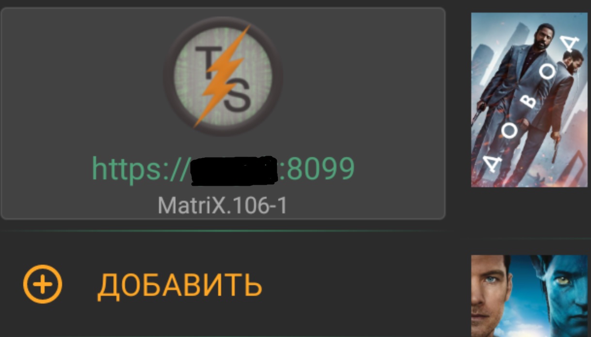 Доступ к torrserve через https · Issue #12 · vladlenas/Synology-TorrServer · GitHub