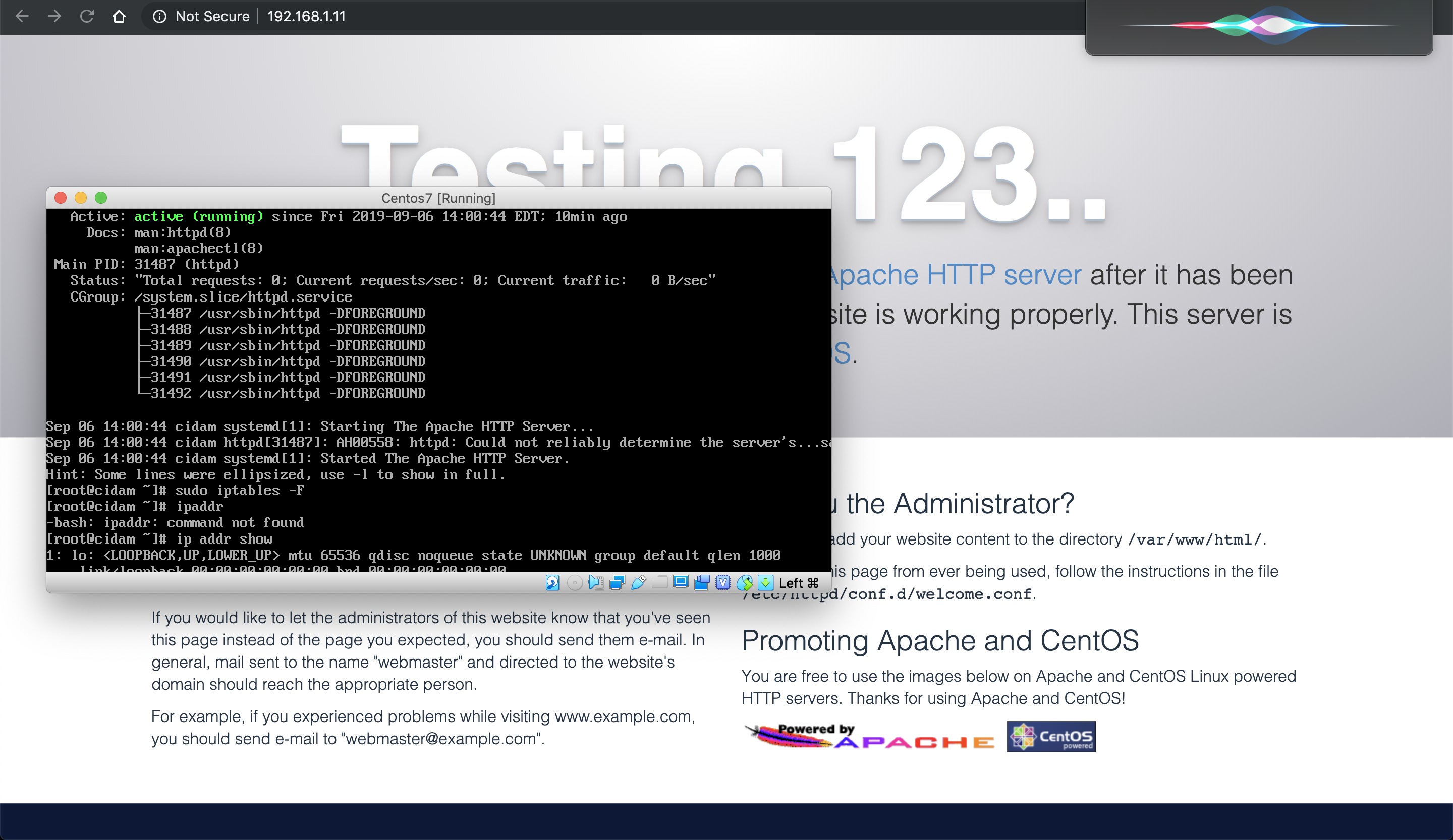 GitHub - sellatr/Tugas-2-Pemrograman-Jaringan_1301188565: Sella Tresnasari (1301188565