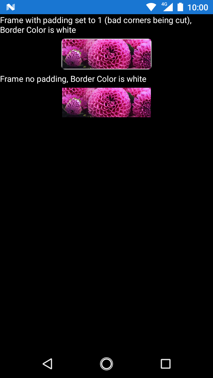 Frame BorderColor requires Padding to be visible · Issue #6835 ...