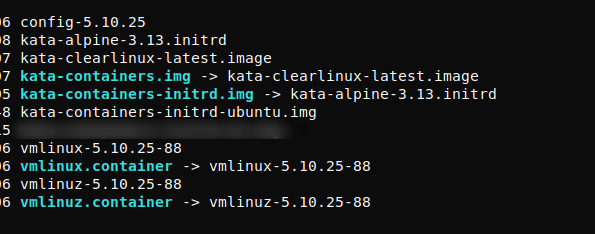 qemu+initrd cannot enter into guest os via kata-runtime exec · Issue #3717 · kata-containers ...