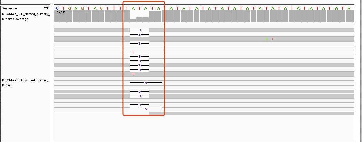 Variant Calling in Low-Complexity Regions · Issue #72 · HKU-BAL/Clair3 · GitHub
