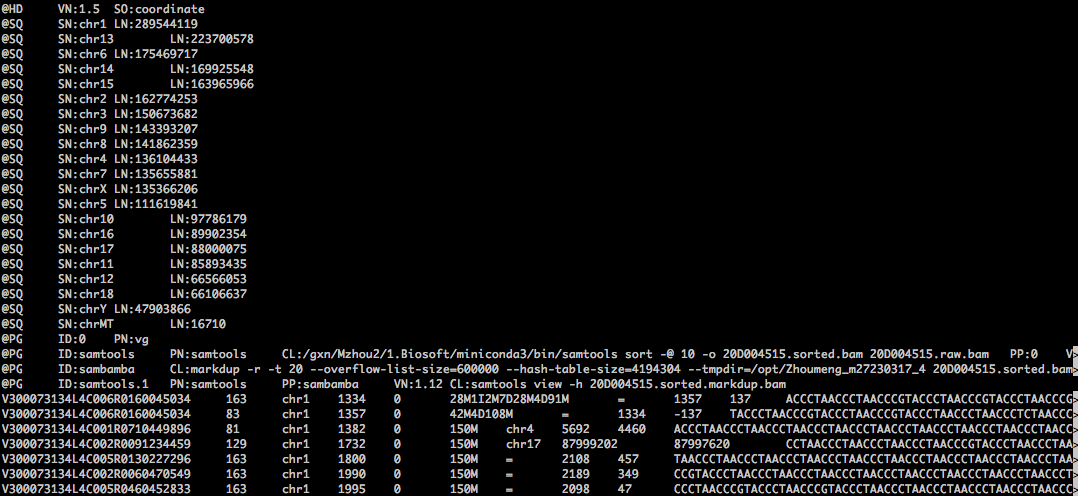 giraffe with -o bam is slow · Issue #3694 · vgteam/vg · GitHub