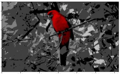 GitHub - ToKu404/image-processing-assignment: Problems in Image Processing