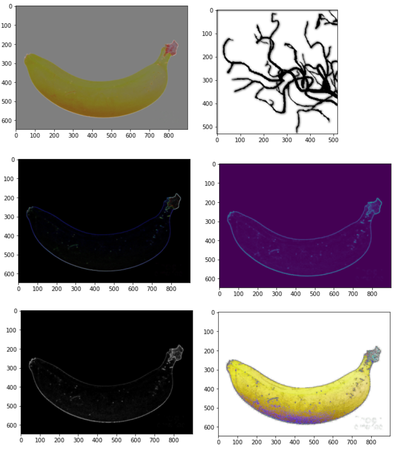 GitHub - ToKu404/image-processing-assignment: Problems in Image Processing