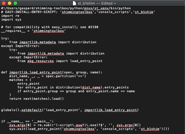 Command lines are not executed in the expected virtual environment ...
