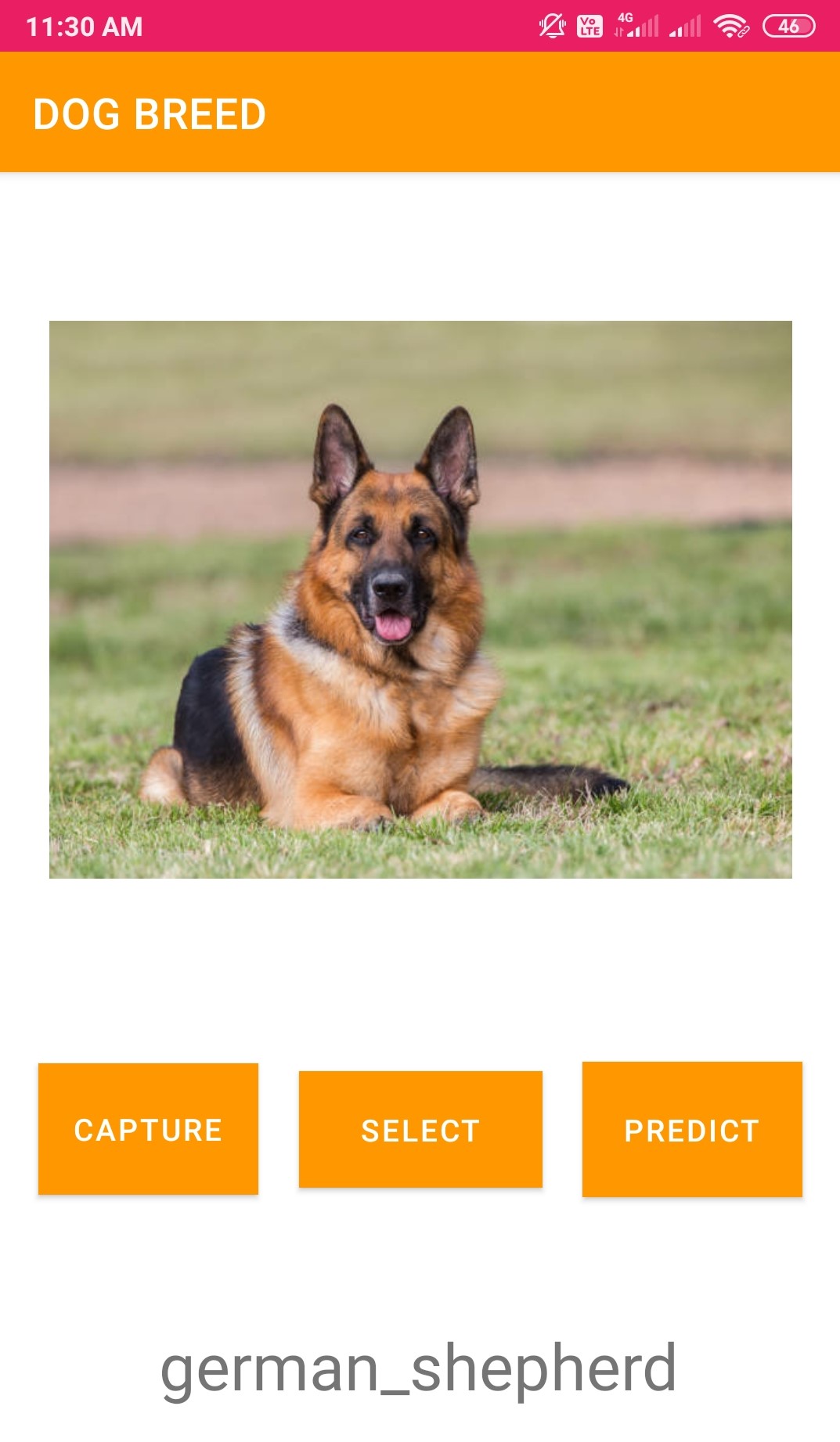 GitHub - sangharshkadpe/Dog-Breed-Identification-Android-App: See a dog ...