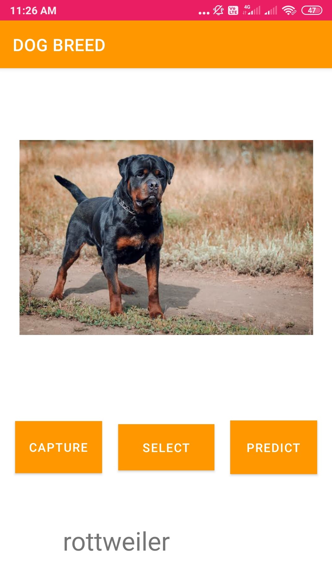 GitHub - sangharshkadpe/Dog-Breed-Identification-Android-App: See a dog ...