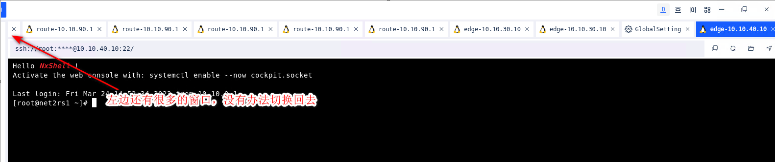 当窗口开得很多的时候，原先开的窗口没有办法切换回去 · Issue #263 · nxshell/nxshell · GitHub