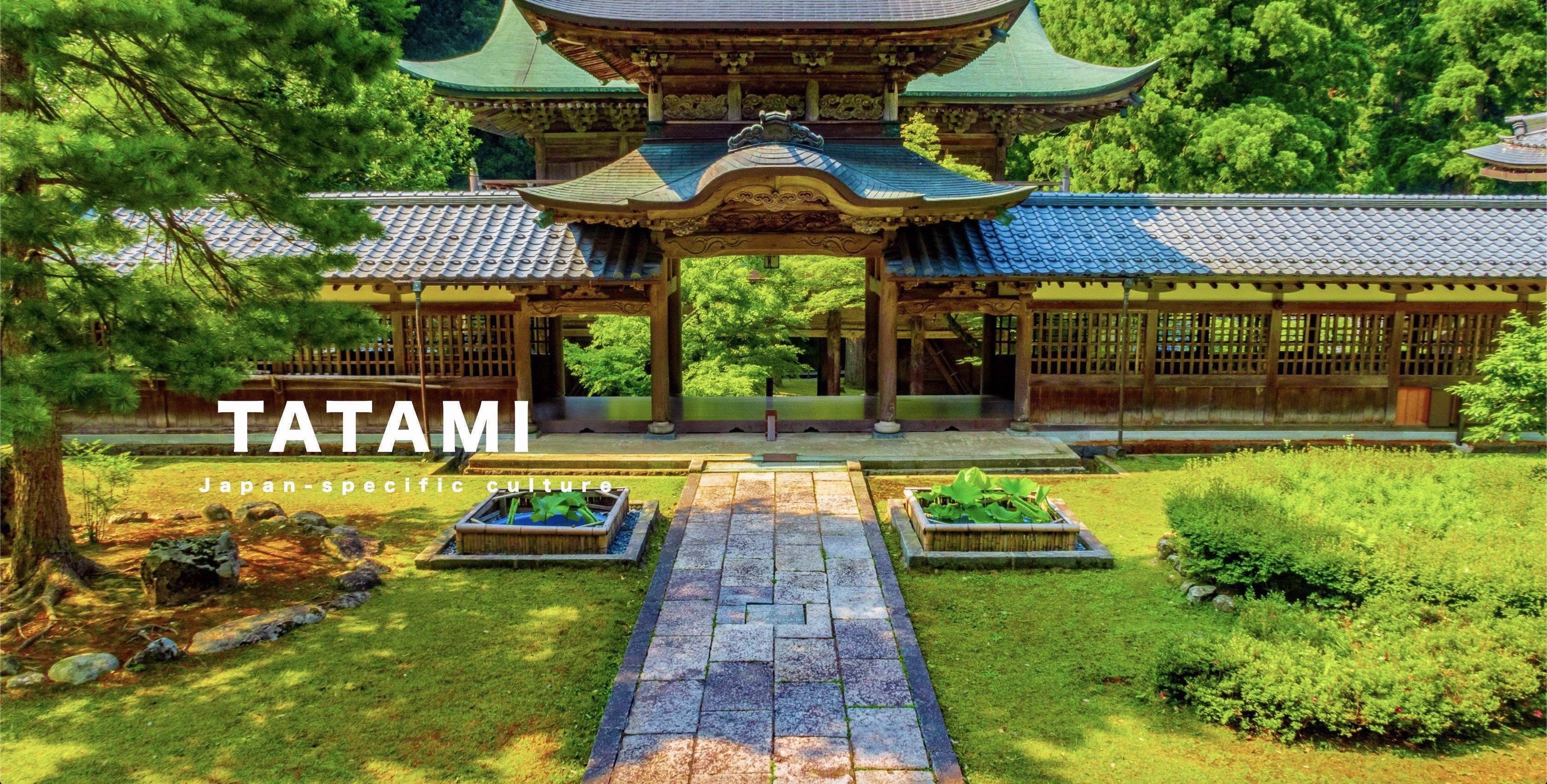 GitHub - sho40/tokyotatamistudio