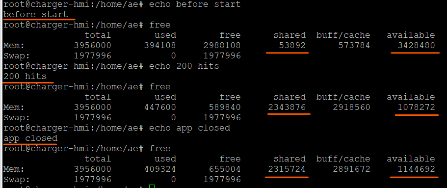 Under Linux Arm64 Flutter Application Not Free Shared Memory Even After Exit After Some Time