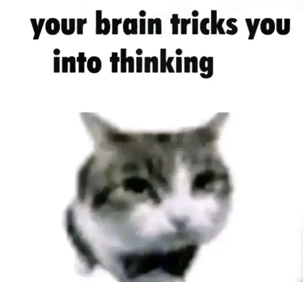 GitHub - Memerguyy/discord-cat-bot-public: Public version of my (shitty) cat bot