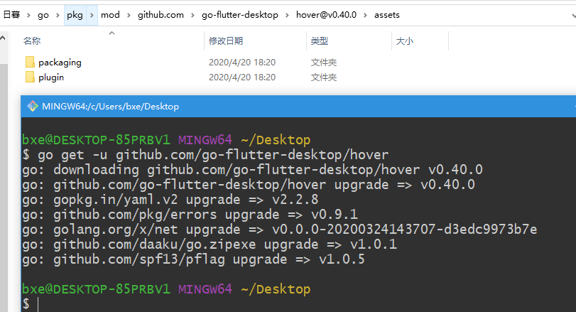 hover cannot get hover / assets / app / directory · Issue #401 · go-flutter-desktop/go-flutter ...