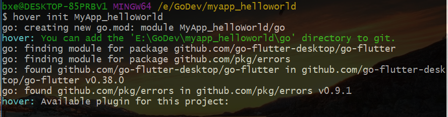 hover cannot get hover / assets / app / directory · Issue #401 · go-flutter-desktop/go-flutter ...