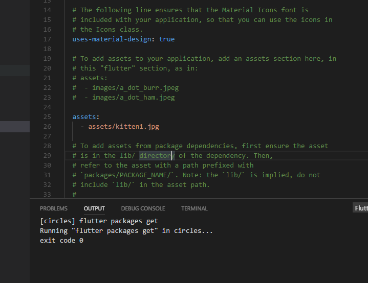 Wish For A Warningerror If A Declared Asset Doesnt Exist · Issue 10874 · Flutterflutter · Github 9881