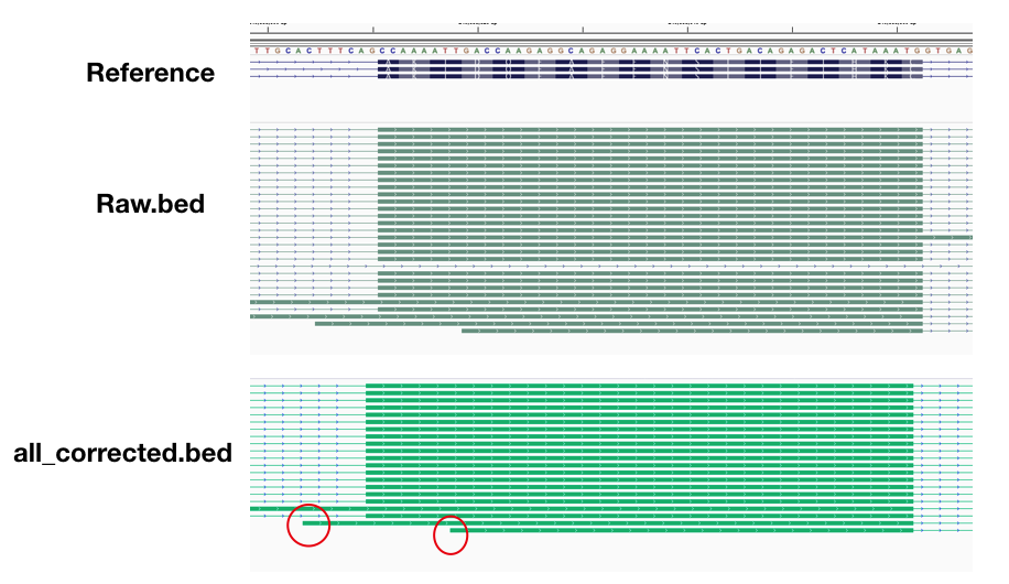 FLAIR corrected splice sites are not matching the annotated splice ...