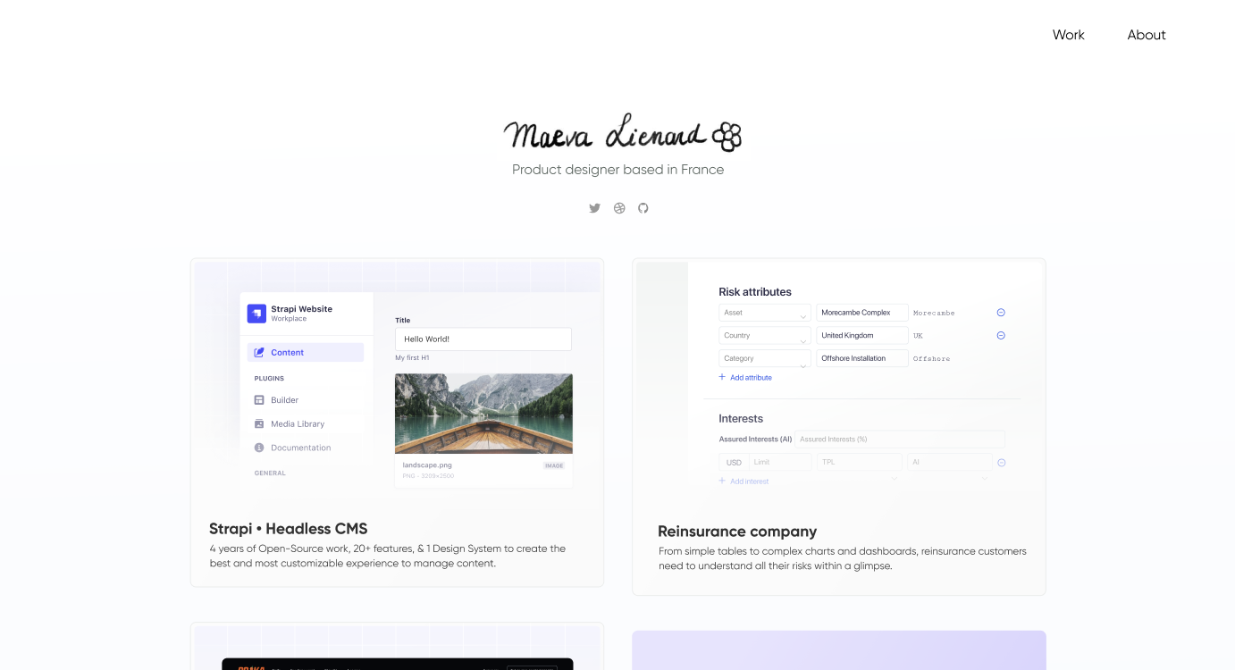 GitHub - maevalienard/Portfolio: A glimpse of my previous experiences and collection of designs