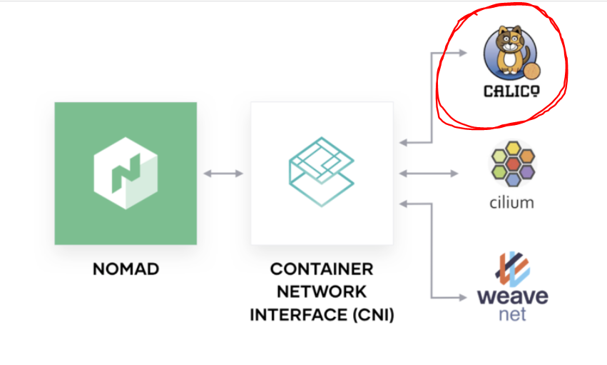 Can any one explain how would i use Project Calico for CNI in my nomad ...