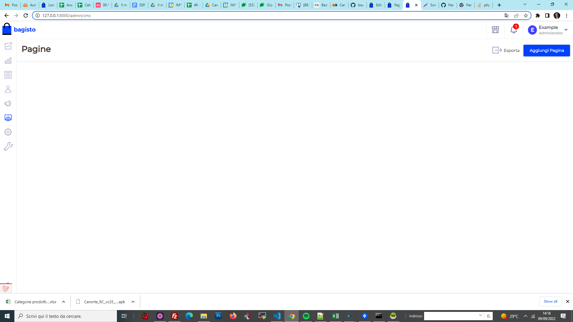 Cms pages datagrid not diplay any rows when Change locale · Issue #6703 · bagisto/bagisto · GitHub
