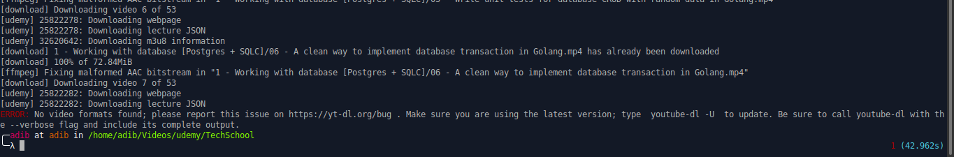 Download stopped in number 7 from udemy · Issue #5647 · yt-dlp/yt-dlp · GitHub
