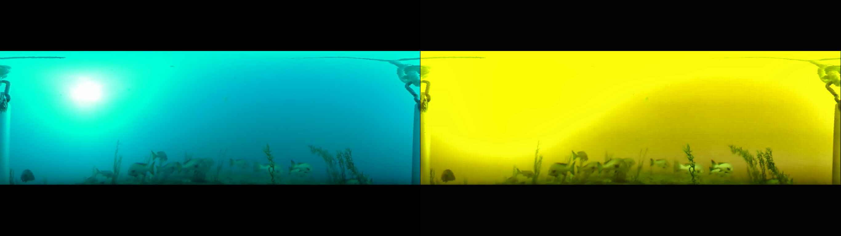 GitHub - lmgrj/UnderWater-Image-Enhancement