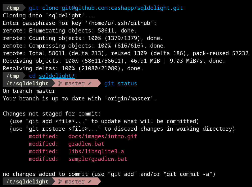 Repository after clone has changes · Issue #3387 · sqldelight/sqldelight · GitHub