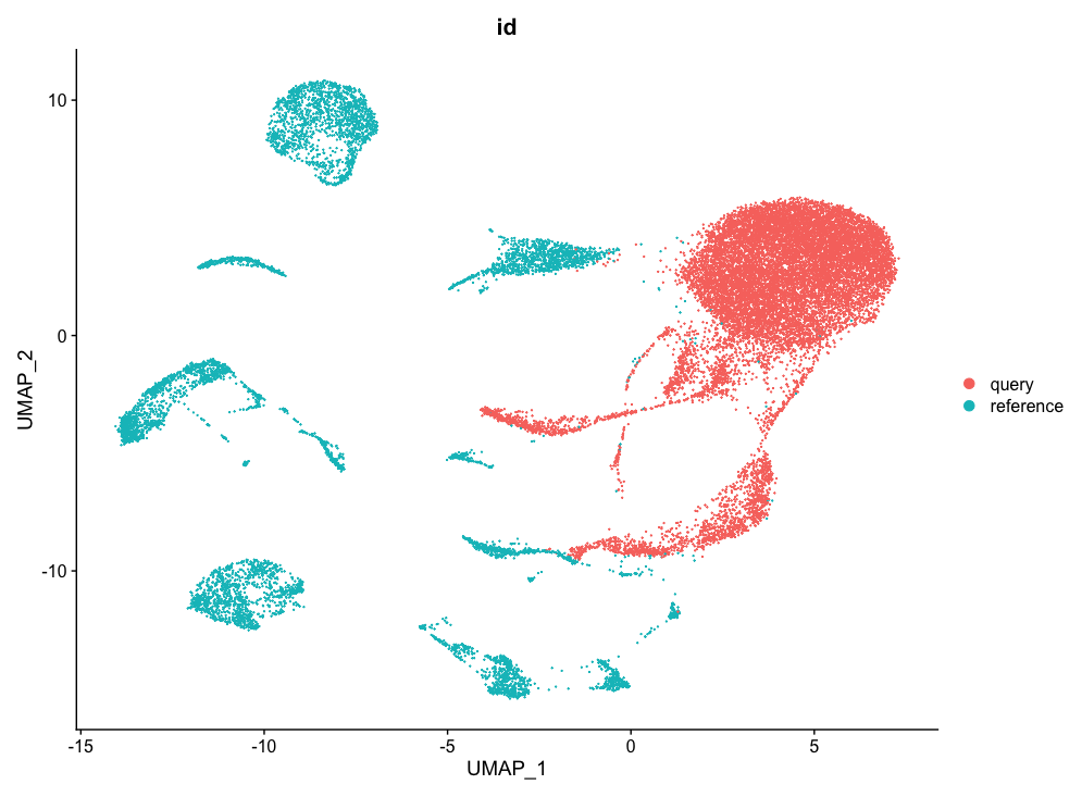 MapQuery · Issue #5050 · satijalab/seurat · GitHub