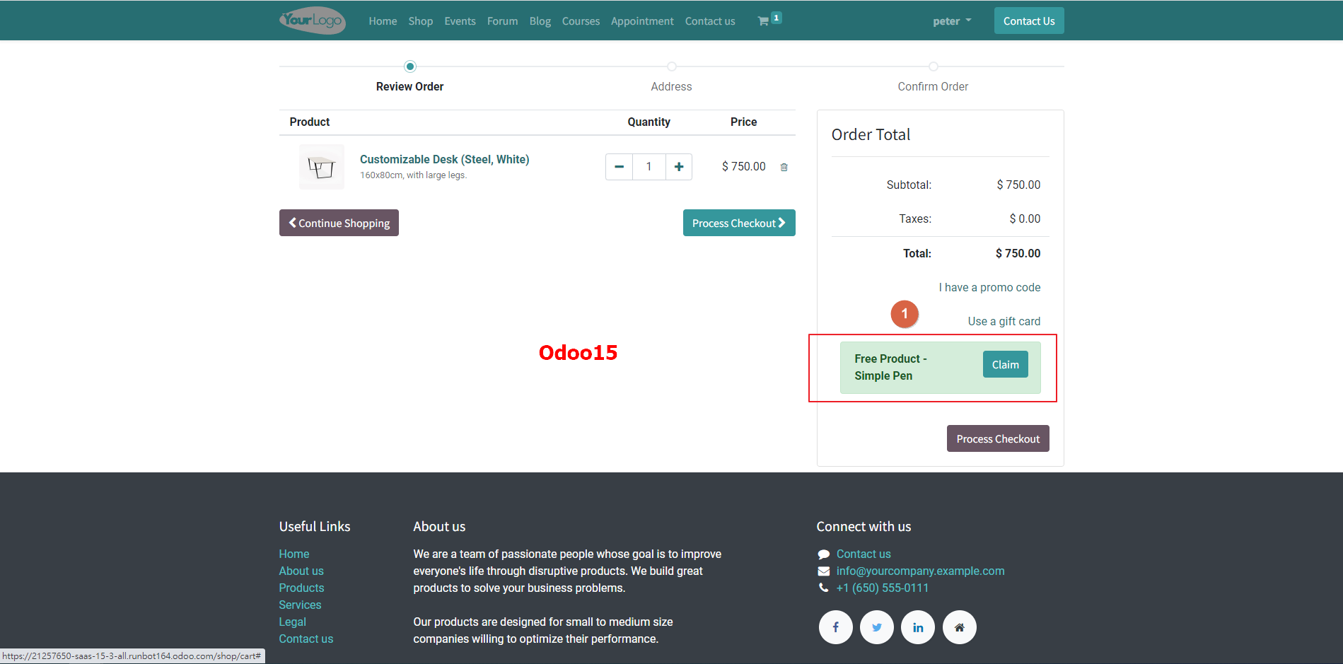 Loyalty Program( Two issue) · Issue #106296 · odoo/odoo · GitHub