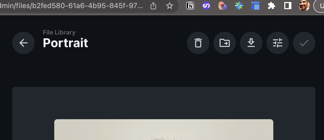 403 forbidden response when trying to download or fetch as asset via API · Issue #17317 ...