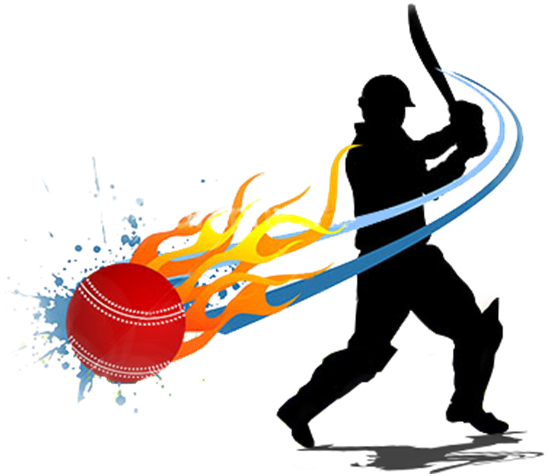 GitHub - aditya129712/Cricket-Data-Analysis