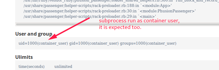 Passenger nginx module always run as root and subprocess run as normal user, but new created log ...