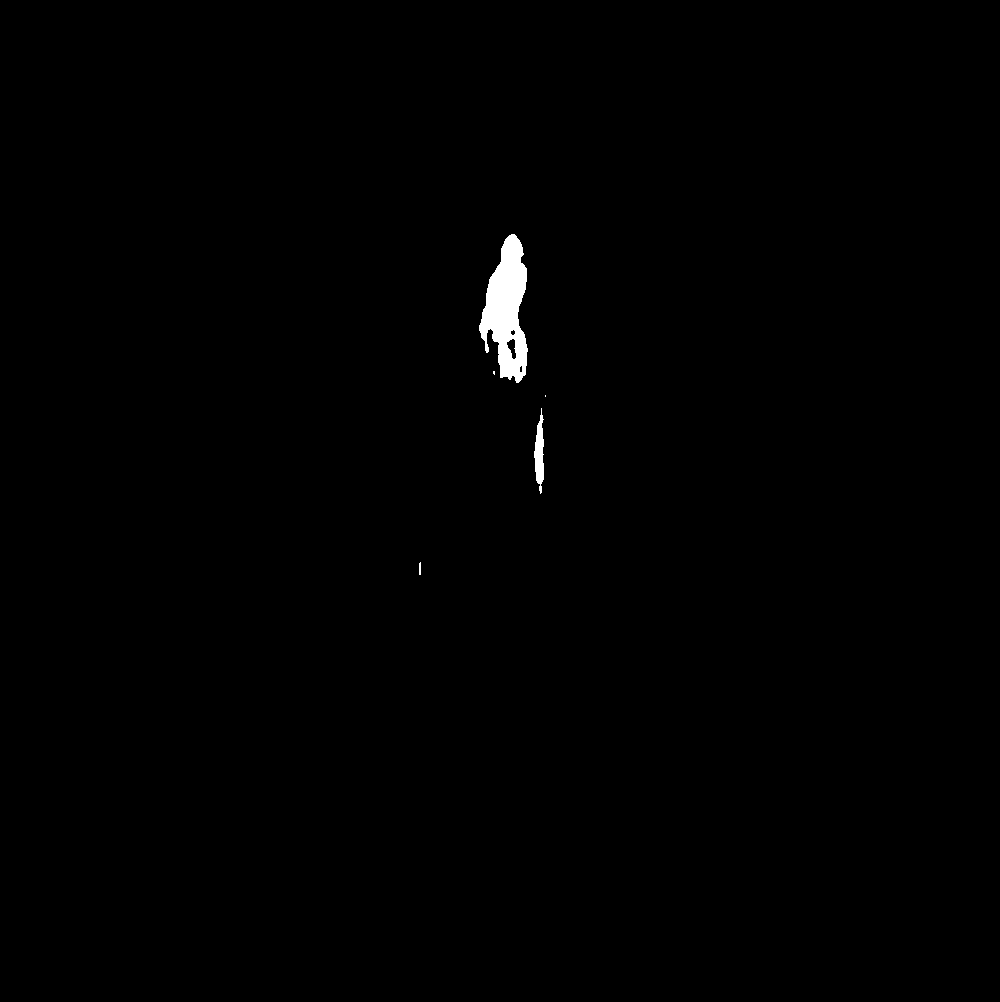 Output Error Regarding Sam Model · Issue 459 · Danielgatisrembg · Github