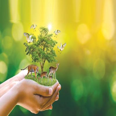 GitHub - wardaharshad/Pillow-Image-Resize: U-TECH Advance Python For Kids - Session 27 - Topic ...