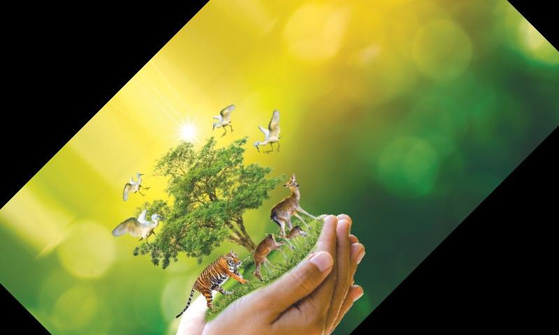 GitHub - wardaharshad/Pillow-Image-Resize: U-TECH Advance Python For Kids - Session 27 - Topic ...