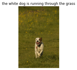 GitHub - JamesBondOOO7/IMAGE-CAPTIONING