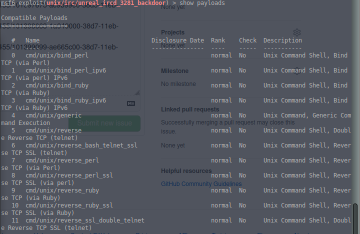 GitHub - Maximum-petteri/pen: penetraatio on kivaa