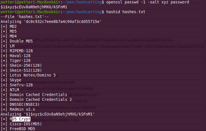 GitHub - Maximum-petteri/pen: penetraatio on kivaa