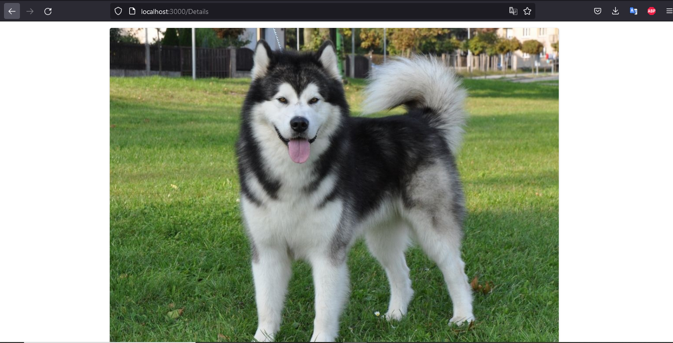 GitHub - Roitman27/THE-DOG-API: DESAFIO FRONT END - THE DOG API