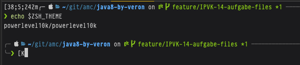 Powerlevel10k suddenly become broken in JetBrains IDE terminal · Issue #1128 · romkatv ...