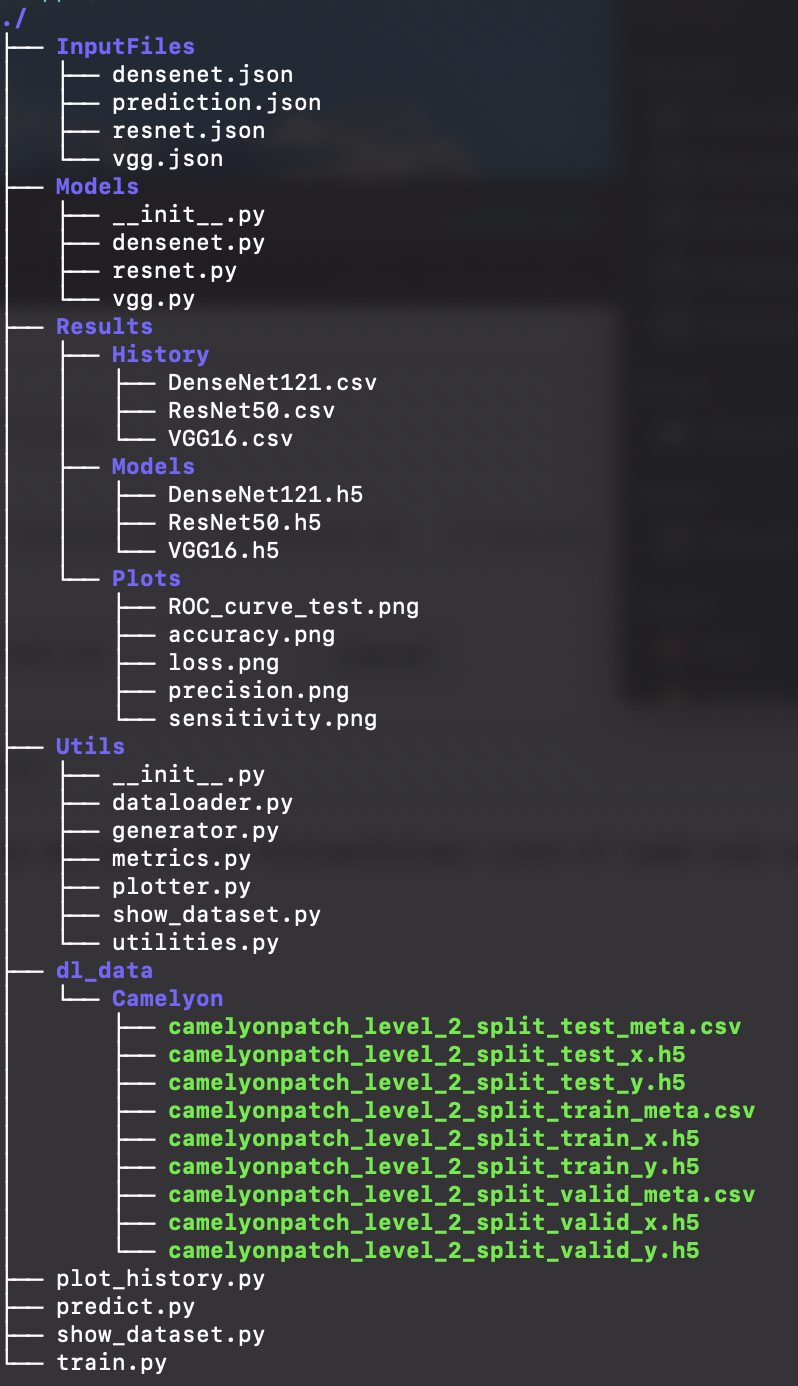 GitHub - jstoor-elf/Classification-of-images-from-histopathologic-scans-of-lymph-node-sections