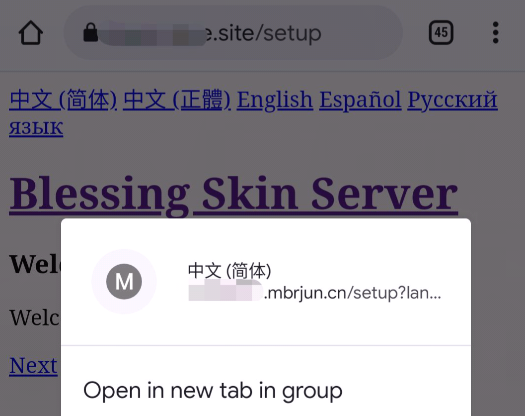 不能在反向代理后正常工作 · Issue #407 · bs-community/blessing-skin-server · GitHub