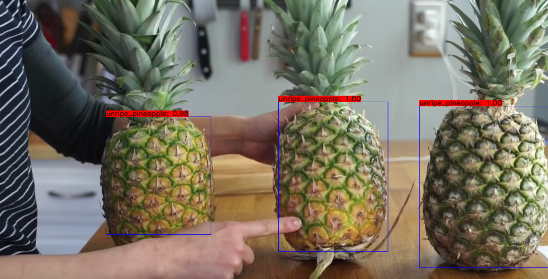 GitHub - Samuel-P-Moronta/Ripeness_Fruit_Detection_Classification-SFK ...