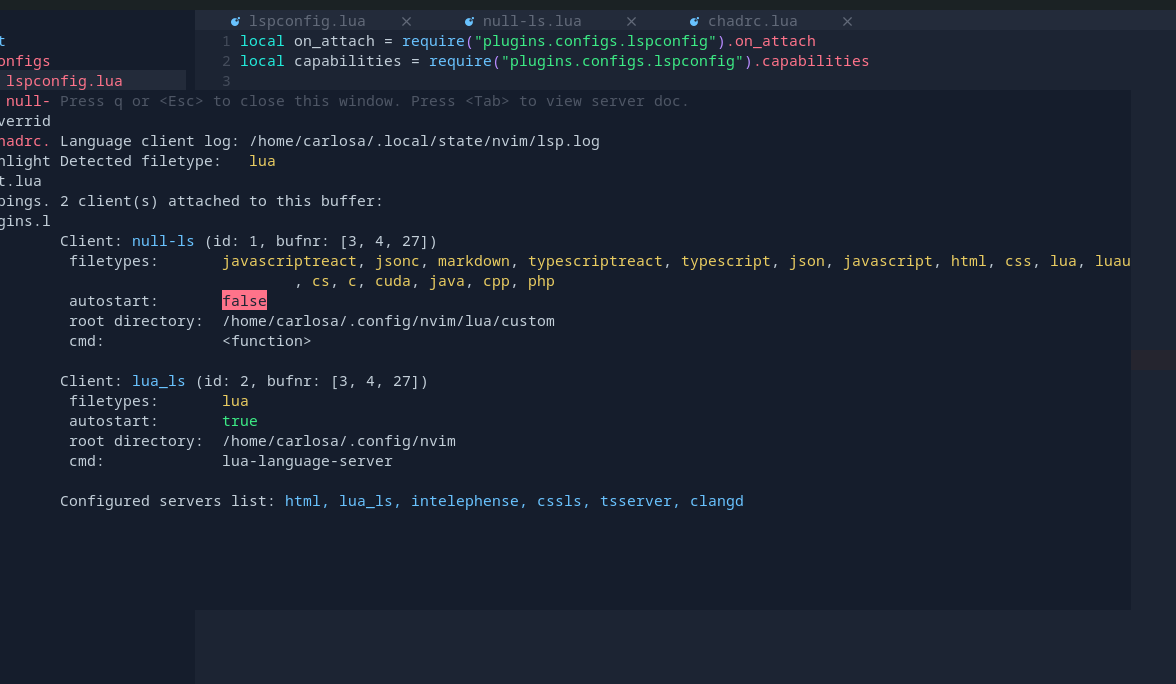 formatter Php - not working · Issue #1822 · NvChad/NvChad · GitHub