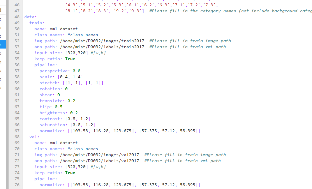 linux下找不到数据集 · Issue #257 · RangiLyu/nanodet · GitHub