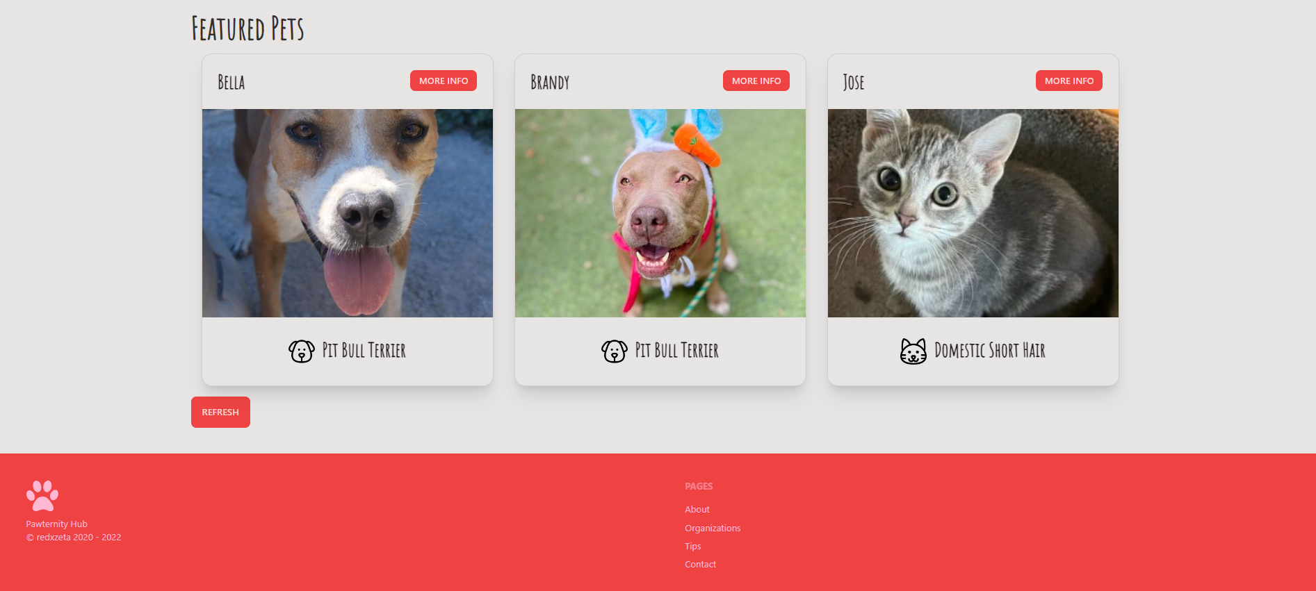 Pawternity hub Codesandbox