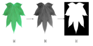 GitHub - sravanisubraveti/A-Feature-Engineering-Approach-To-Improve ...