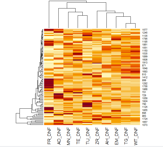 Show row names Not Working Issue 984 Jokergoo ComplexHeatmap GitHub