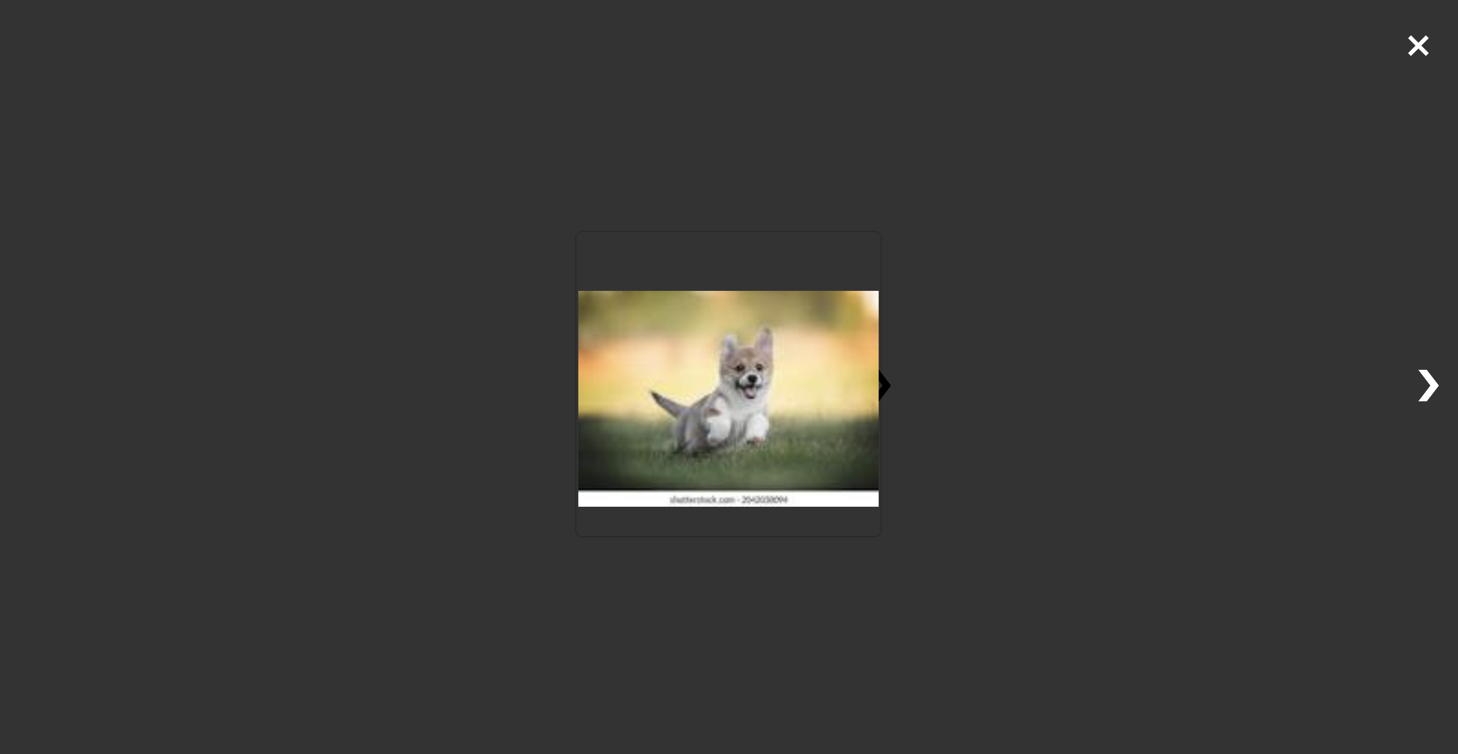 GitHub - oh-wonjune/ImageViewer_wj